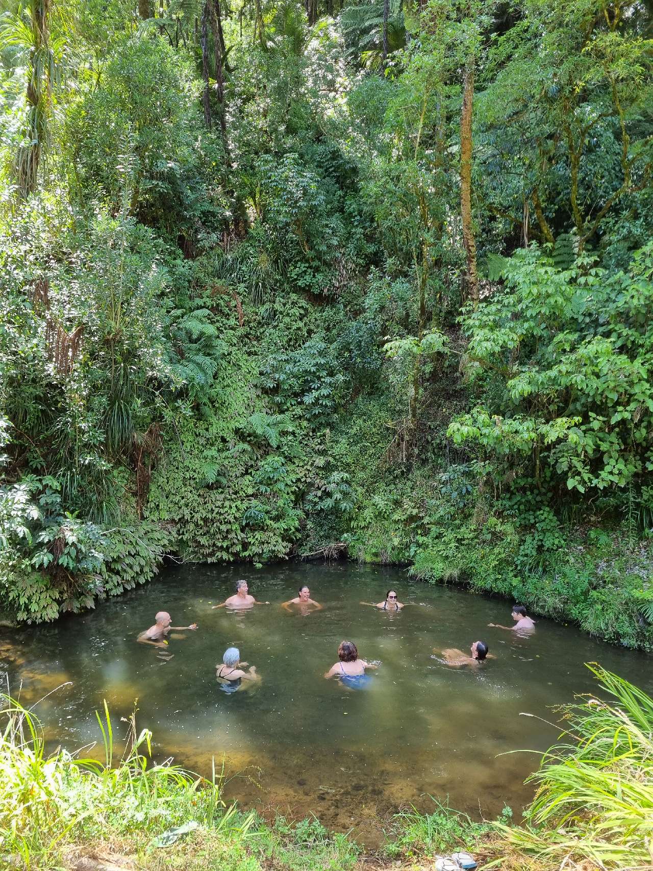 Rangimārie Bush Centre - School Camps NZ